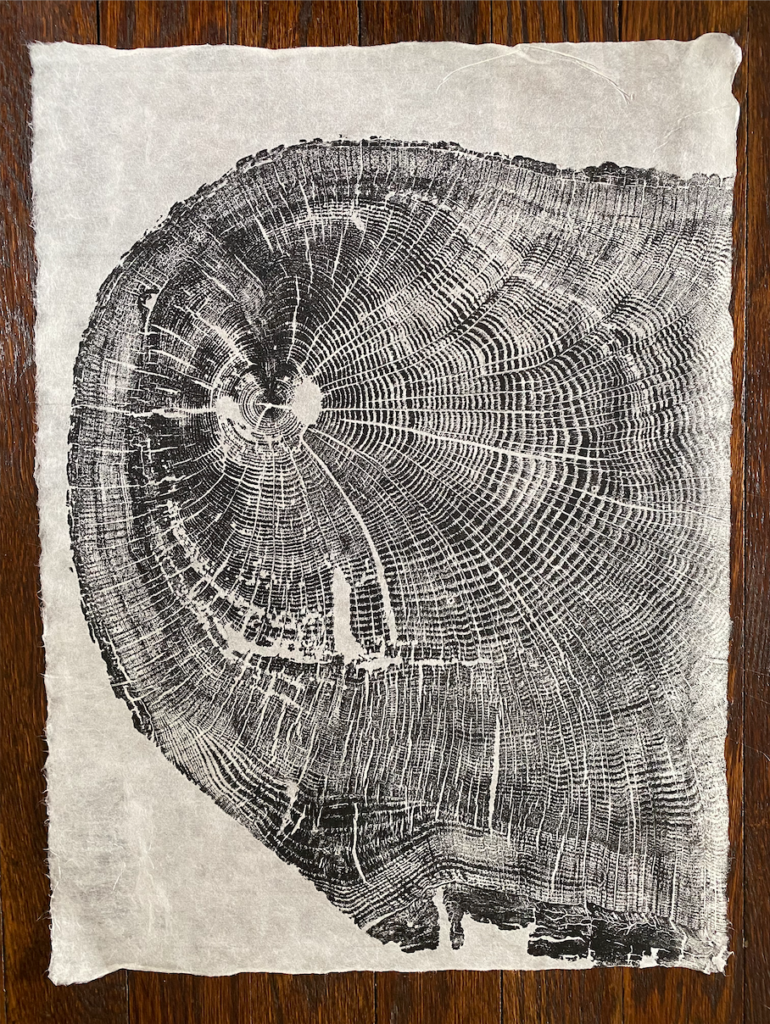 Moses Cleaveland Heart of Tree – Roosevelt (12 3/8″ x 16 1/2″) **SOLD ...