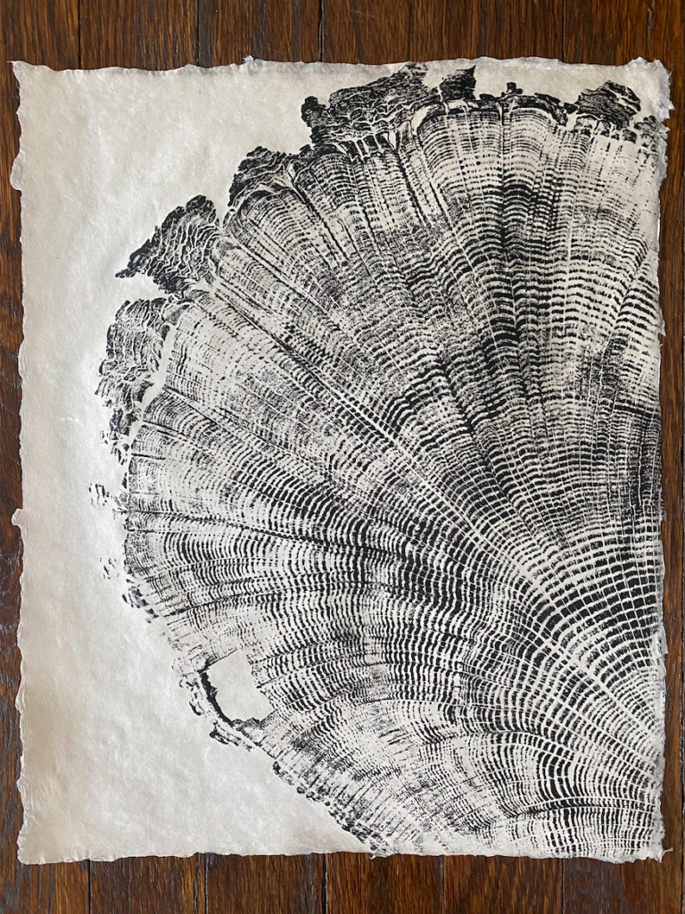 Moses Cleaveland – Roosevelt (12″ x 15″) **SOLD OUT** – CLE Tree Revival