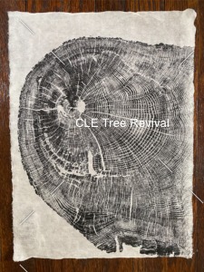 Moses Cleaveland Heart of Tree – Roosevelt (12 3/8″ x 16 1/2″) **SOLD ...