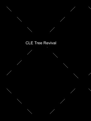 Moses Cleaveland Heart of Tree – Roosevelt (12 3/8″ x 16 1/2″) **SOLD ...